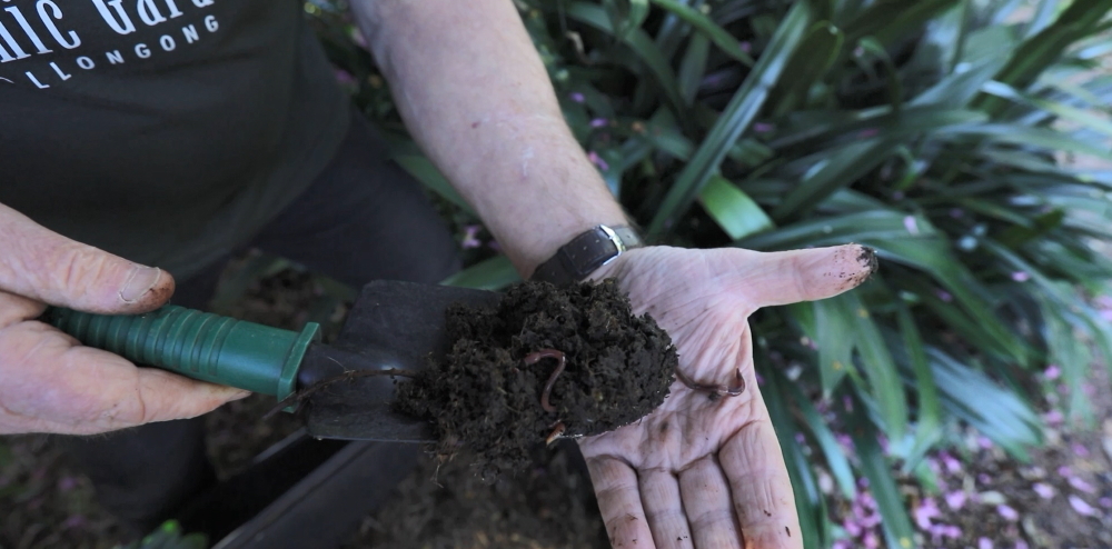 Worm Farming Workshop | Wollongong Botanic Garden