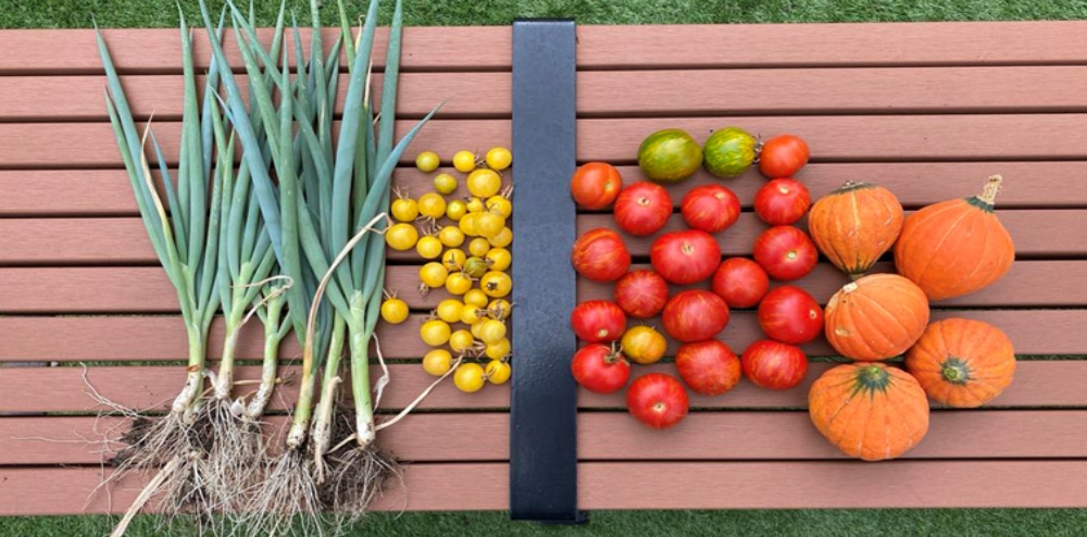 Compost and Worm Farming Q&A | Wollongong Botanic Garden