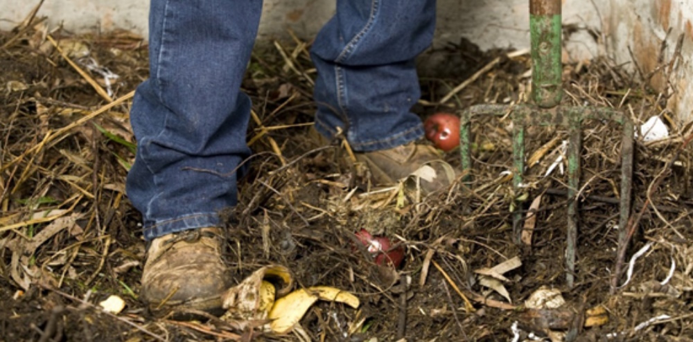 Composting Workshop | Wollongong Botanic Garden
