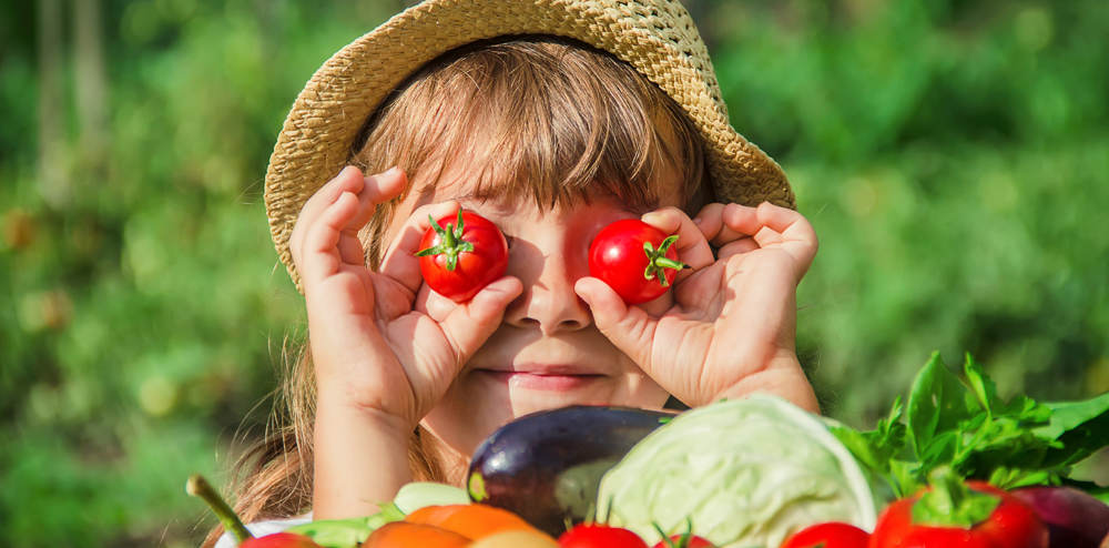 Dig n' Play | Wollongong Botanic Garden