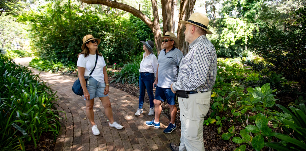 Garden Discovery Walking Tour | Wollongong Botanic Garden