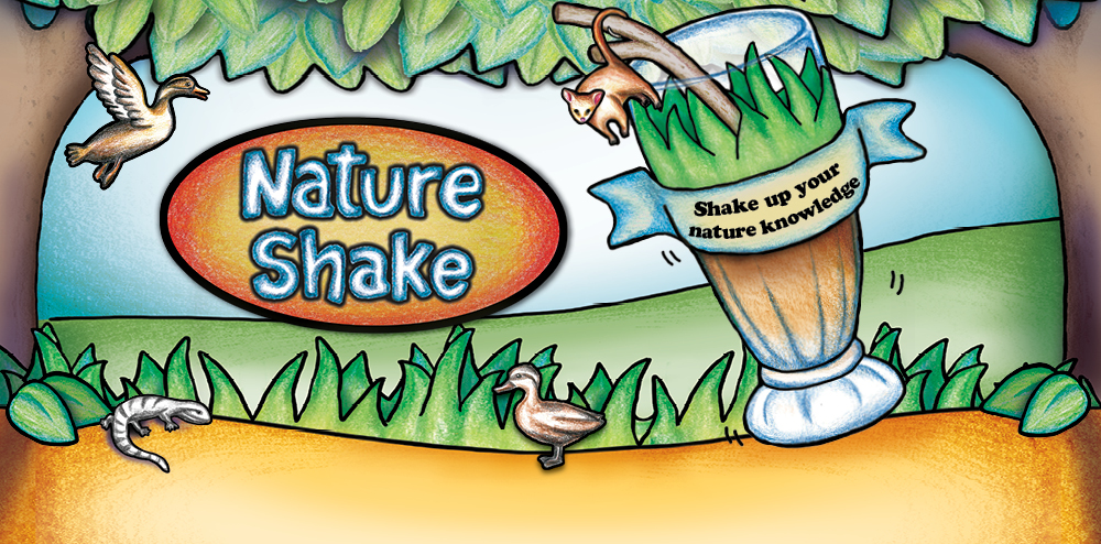 Nature Shake | Wollongong Botanic Garden